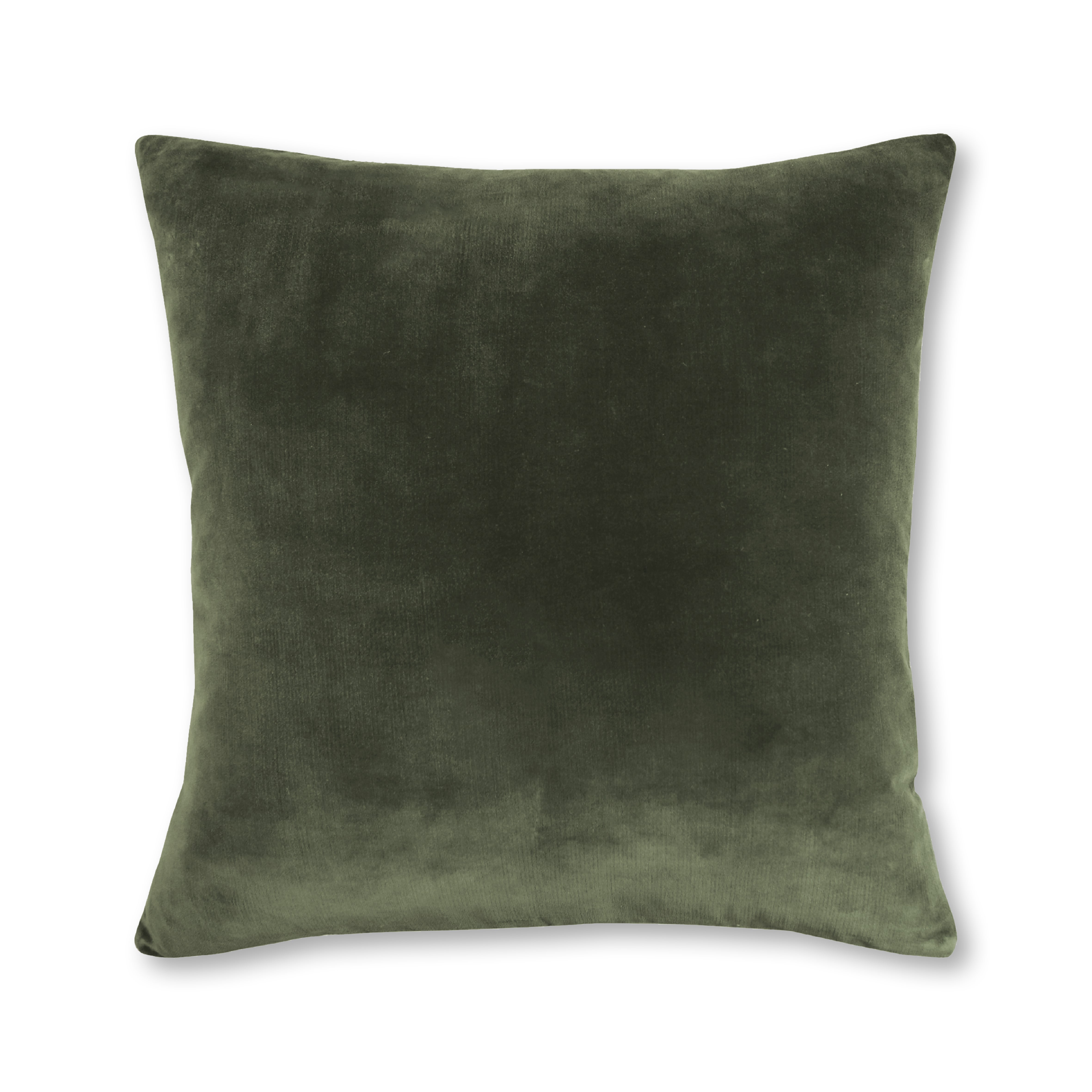 Velvet Olive Cushion | Madras Link